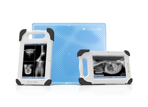 Digital Radiography Antech Diagnostics