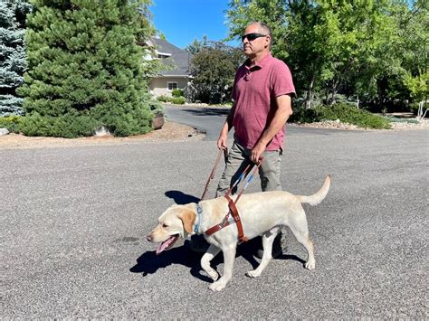 Mark And Ian Guiding Eyes For The Blind