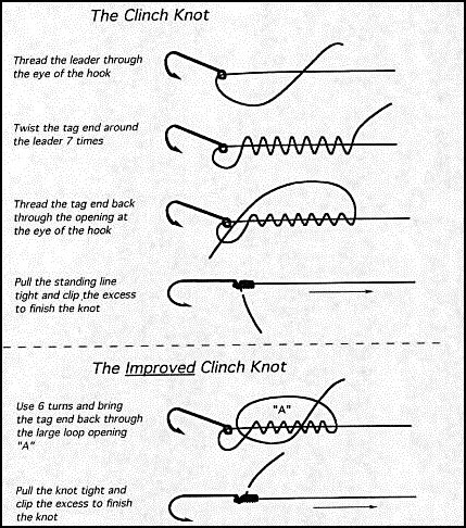 Clinch Knot Master Fishing Knots How To Tie A Fishing Hook Easily