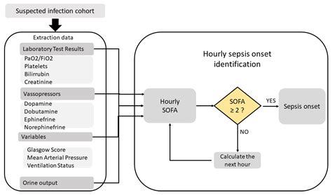 Electronics Free Full Text Machine Learning Models For Early Prediction Of Sepsis On Large