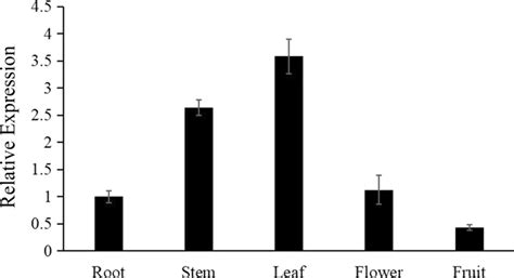 Real Time PCR Analysis The Expression Level Of MdFLS1 In Different