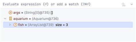 教程：设置值 Intellij Idea 文档