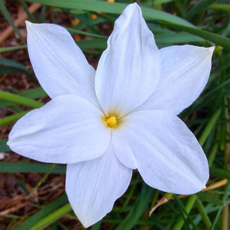 With Singing Grass Photograph By Margaret Hwang Fine Art America