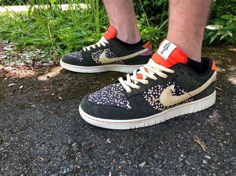 Skating Non Sb Dunks Rdunksnotdead