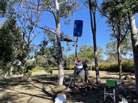 Tree Troff Drinkers For Arboreal Wildlife Nurtured Life