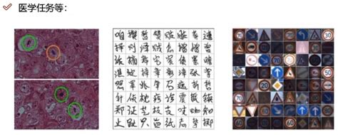 深度学习—卷积神经网络（cnn）全笔记，附代码cnn模型代码 Csdn博客