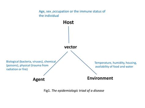 Ppt Agent Based Epidemic Modeling For Disease Spread Prevention Powerpoint Presentation Id