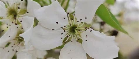 C Wpf 实现界面自动更新 知乎