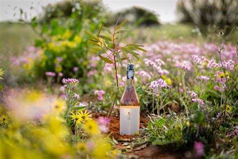 Sustainable Wine Gets A New Face Tread Softly Plants 2 Millionth Tree THE F