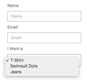 Custom Labels Values In Select Radio And Checkbox Form Fields Elementor
