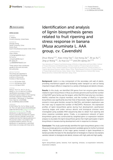 Pdf Identification And Analysis Of Lignin Biosynthesis Genes Related To Fruit Ripening And
