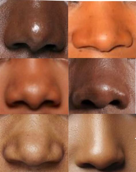 African American Nose Drawing