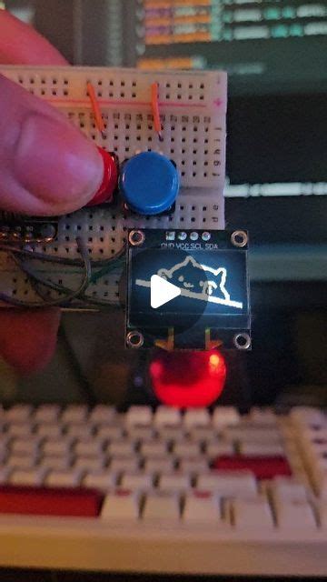 Clicky Tactile Bongo Cat Arduino Computer Science Diy Maker