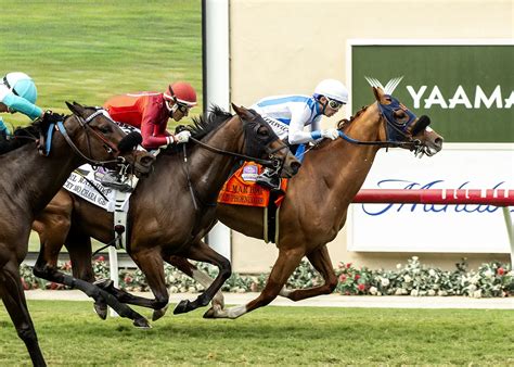 Del Mar Hat Tricks For Gold Phoenix And Trainer Phil Damato Philip D