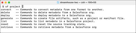 Autocomplete Salesforce Cli Commands And Flags Salesforce Cli Setup