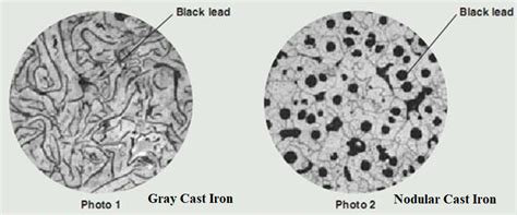 Nodular Cast Iron Microstructure