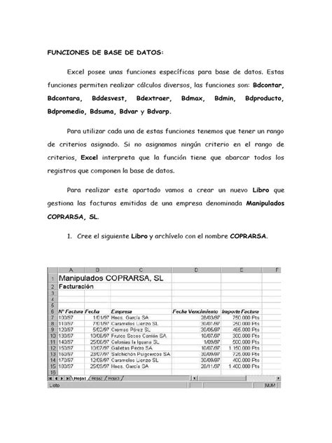 funciones base datos en excel pdf informática software