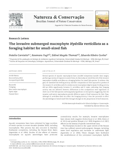 Pdf The Invasive Submerged Macrophyte Hydrilla Verticillata As A Foraging Habitat For Small