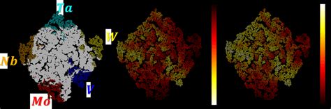 A T Sne Dimensional Reduction Of The Quinary Space With Highlighted Download Scientific