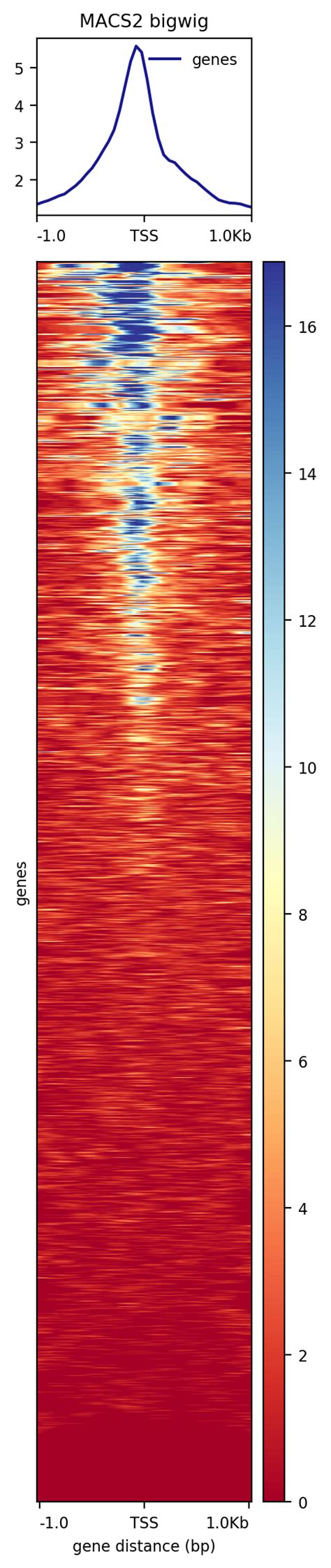 Atac Seq Data Analysis