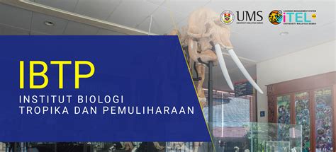 Itel Learning Management System Universiti Malaysia Sabah
