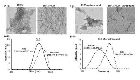 A I The Morphologies Of Amyloid Structures Were Characterized Using Download Scientific