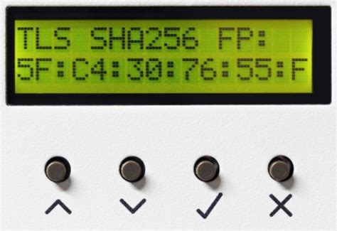 Step 2 One Time Password And Tls Fingerprint