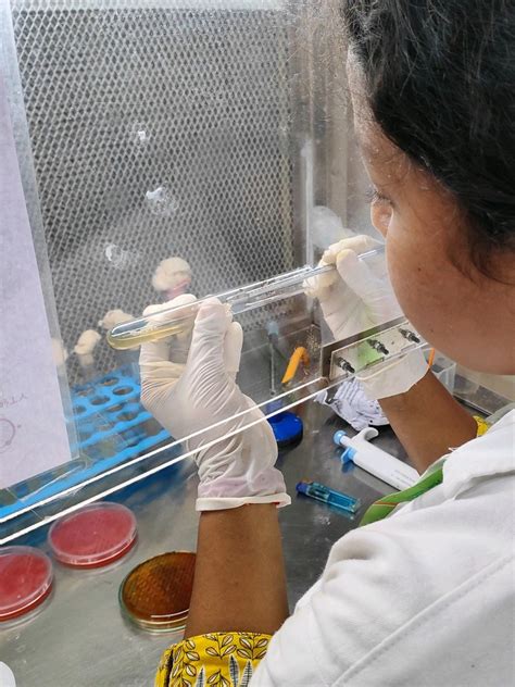 Pratyasha Priyadarshini On Linkedin Microbiology Research