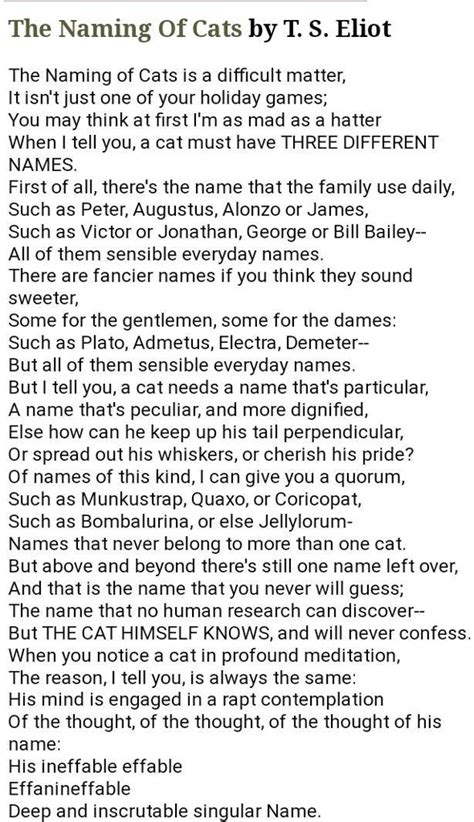 mcq questions of the poem naming of cats 44926