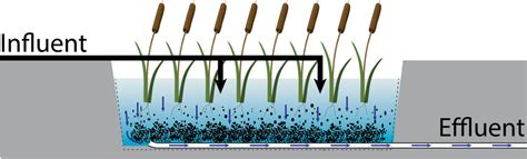 Vertical Subsurface Flow CW Download Scientific Diagram
