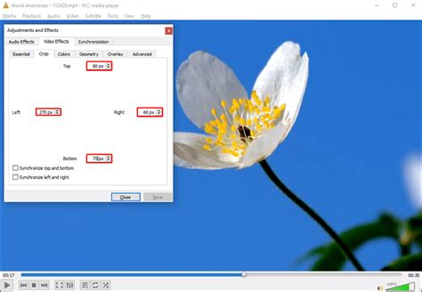 how to crop videos in vlc media player on windows and mac minitool