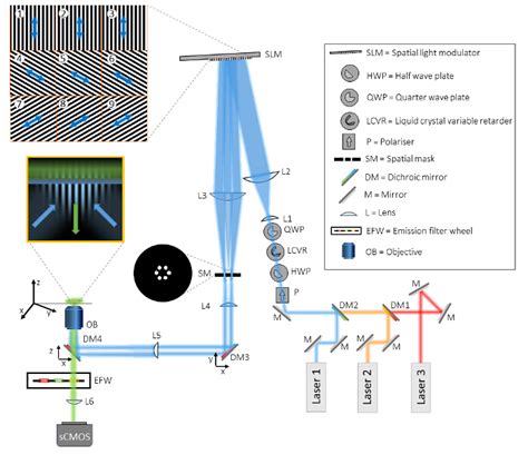 A Guide To Structured Illumination Tirf Microscopy At High Speed With