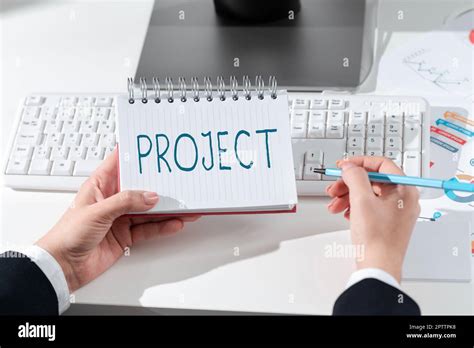 Sign Displaying Project Business Overview Collaborative Enterprise Carefully Plan Design To