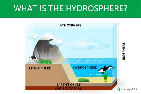 What Is The Hydrosphere Definition Examples Video Earths Hydrosphere