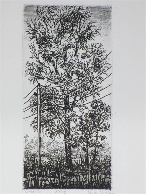 Gerard Van Rooy Gerard Van Rooy Wilg Ets 1972 Verkocht Kunstveiling Nl