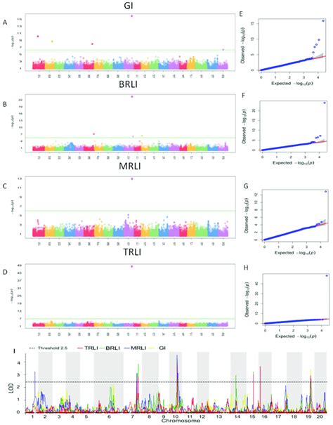 Gwas And Qtl Mapping Of Soybean Tolerance To Drought At The Germination