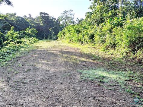 Stunning Twin Vacant Lots With Scenic Views