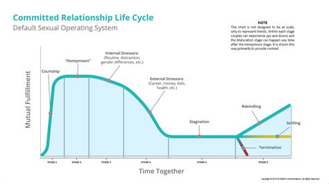 Cycle Of Relationship