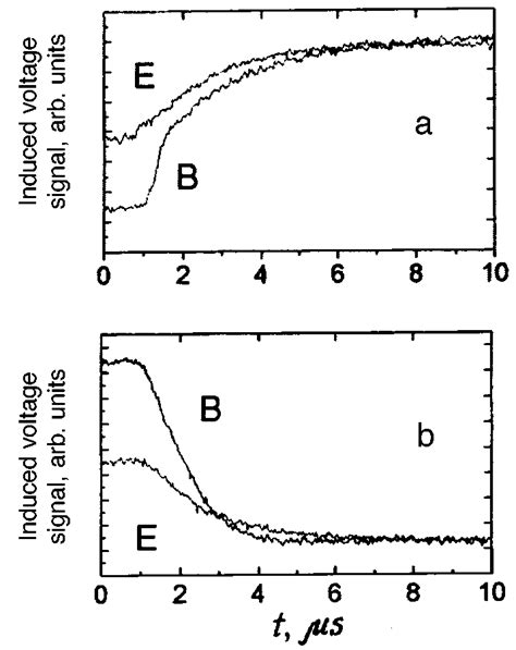 Time Dependences Of The Induced Voltage Signal For Two Typical Points