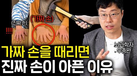 뇌과학적으로 가짜 감각이 진짜처럼 느껴지는 이유 뇌를 속인다 Youtube