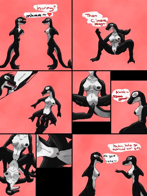 Rule 34 Breasts Cetacean Female Heart Marine Orca Pussy Sex Slit