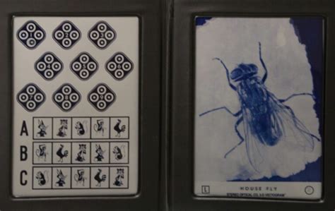 What Is Depth Perception And How Does It Work