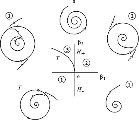 Bautin Bifurcation Diagram Download Scientific Diagram