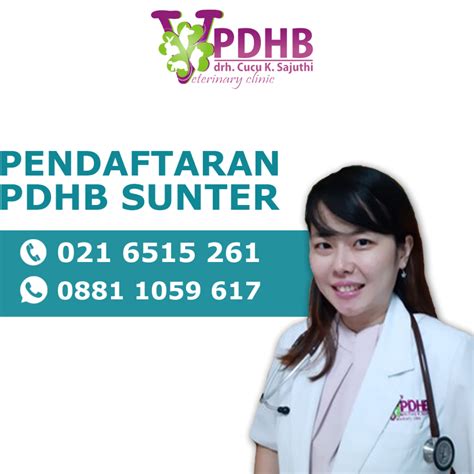 Dokter Cucu Sunter Dalchaebi