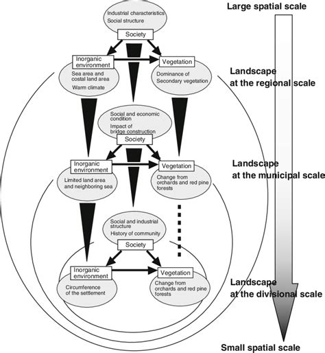 10 Configuration Of Elements At Different Spatial Scales Download Scientific Diagram