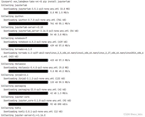 Jupyterlab安装与配置 Csdn博客