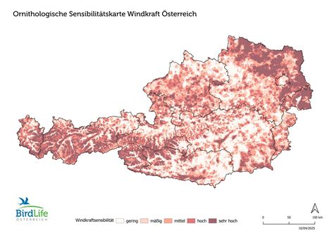 The Cloacal Kiss Of Bearded Vultures Vulture Conservation Foundation