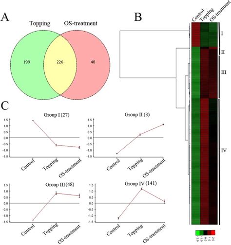 RNA Sequencing Reveals Global Transcriptomic Changes In Nicotiana