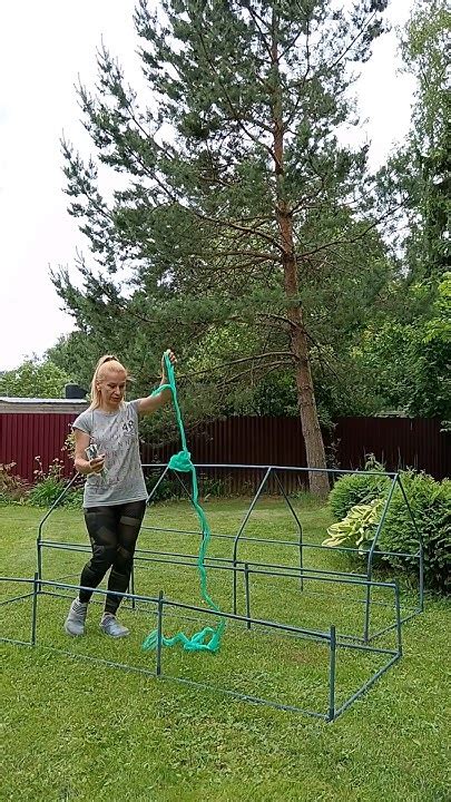 Сетка для клубники ещё один вариант защиты от птиц👌🏻 ларисакуркина защитаотптиц клубника