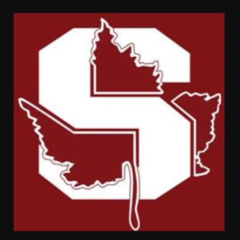 Seaholm High School Class Of 2021 Birmingham Mi